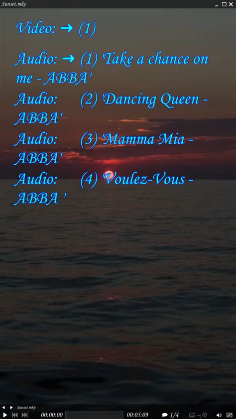 How To Show More Info On Audio Track Rmpv