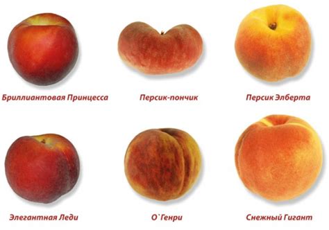 Пожскажите пожалуйста как называется фрукт похожий на персик бархатный на ощюпь но