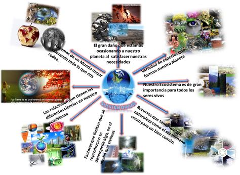 My Ecological Space Mapa Mental De Desarrollo Sustentable