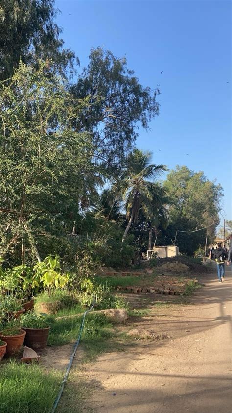 Rahim Ali On Linkedin Governorsitinitiative Typescript Learningjourney Programming