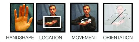 The Different Phonological Parameters In American Sign Language