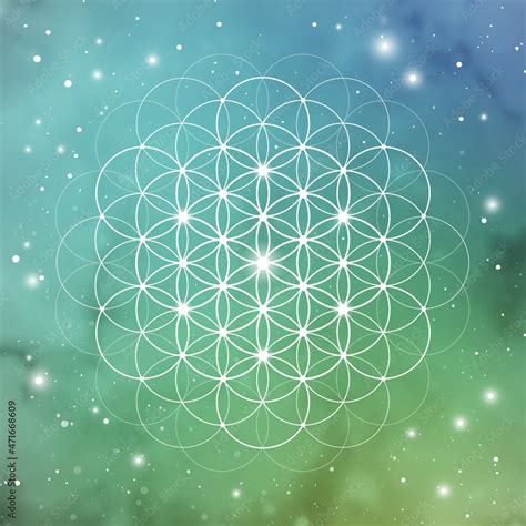 Sacred Geometry Tree Of Life Ancient Symbol Vector Illustration With Golden Ratio Numbers