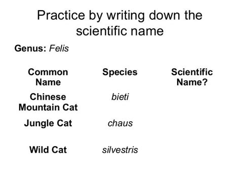 505 Classification And Scientific Names