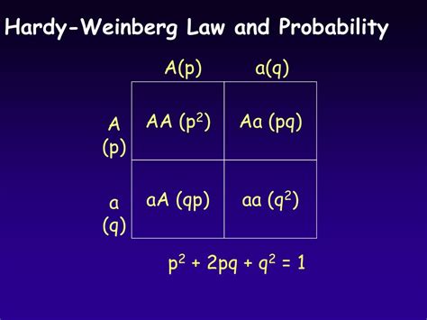 Ppt Lecture 4 Testing For Departures From Hardy Weinberg Equilibrium Powerpoint Presentation
