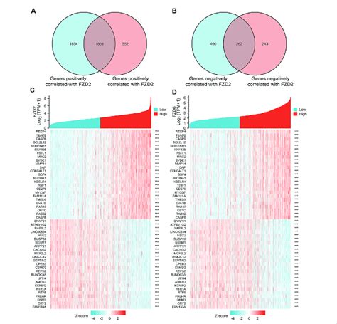 Ab Gene Correlation Analysis Of Fzd2 And Fzd6 In Venn Diagrams Download Scientific Diagram