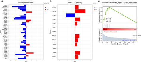 comparison of differential gene expression dge between c mpnst and download scientific