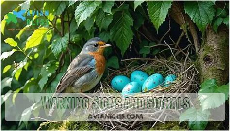 Bird Behavior Nest Building Secrets Behind Nests And Birdhouses