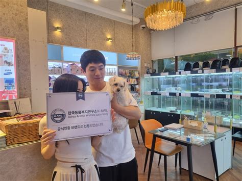 말티푸 봄이 이탈리아그레이하운드입양 치와와입양 폼스키입양 폼치입양 폼피츠입양 푸숑입양 고양이입양 랙돌입양 러시안블루입양 먼치킨입양 브리티쉬숏헤어입양 노르웨이숲입양 뱅갈입양