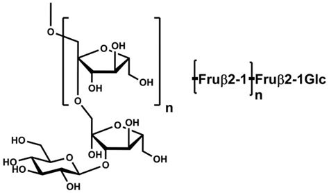 Inulin Structure