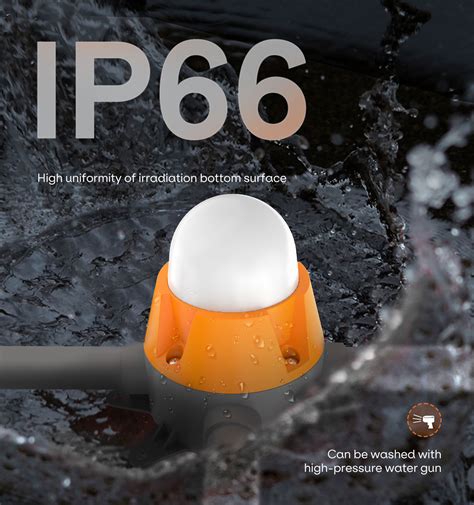 Poultry Light Controller Gk Poultry Farm Lighting System A Beacon Of Efficiency In Poultry