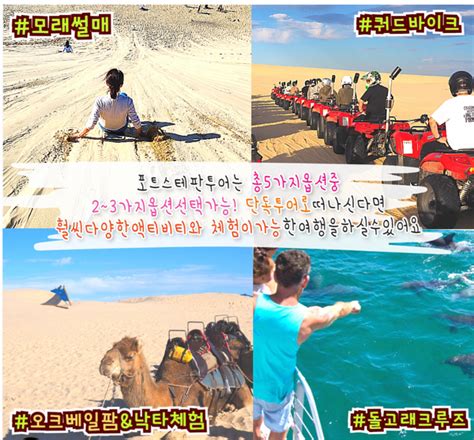 맞춤일정진행 시드니포트스테판단독투어 원하는대로바라는대로 줌줌투어 호주 시드니