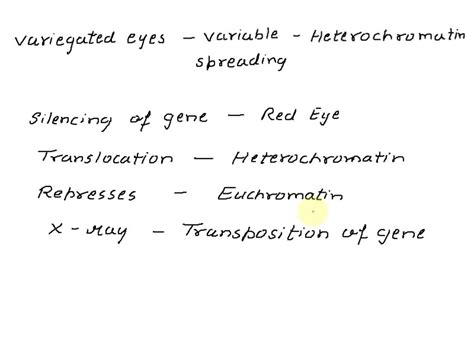 Solved In Drosophila Melanogaster X Ray Induced Mutation Resulted In Flies With Variegated Eye