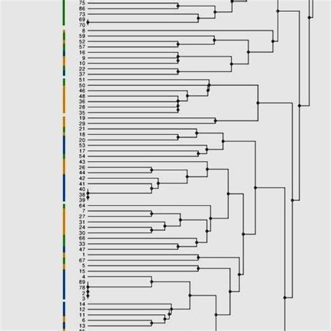 Dendrogram Comparing The Antibiotic Resistance Profiles Of The 97