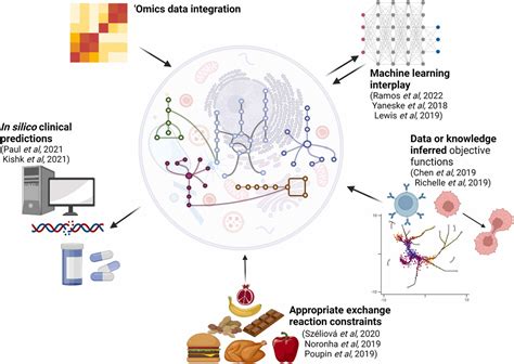 Genome Scale Models As A Vehicle For Knowledge Transfer From Microbial