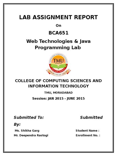 Bca 651 Java Lab Assignment Pdf Method Computer Programming Constructor Object Oriented