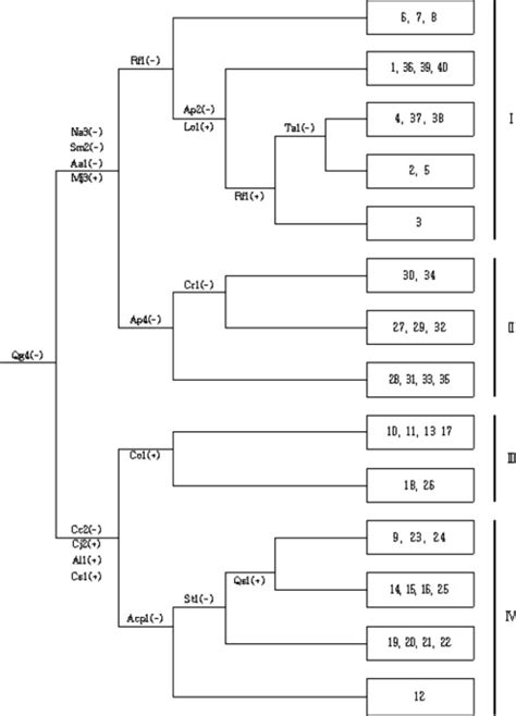 Dendrogram Of Vegetation Groups Showing The Results Of Classification