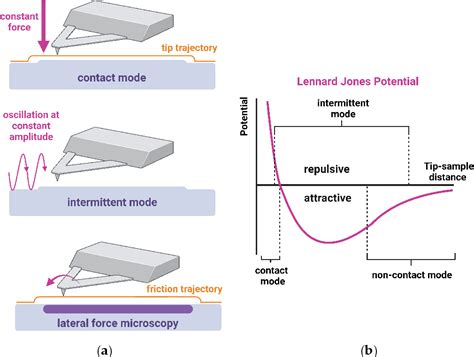 Figure 2 From The Contribution Of Scanning Force Microscopy On Dental