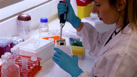 Video Flow Cytometry Analysis Of Murine Bone Marrow Hematopoietic Stem