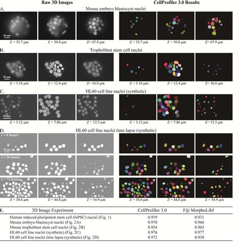 Examples Of 3d Image Segmentation Produced By Cellprofiler 3 0 Across