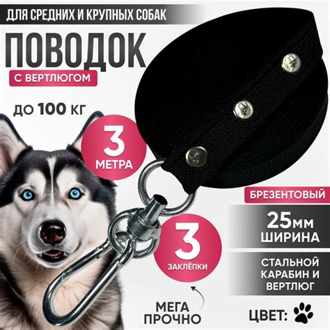 Поводок для больших и крупных собак брезентовый с вертлюгом и ...