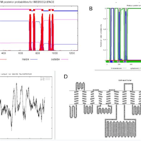 Cellular Localization Predictions The Tmhmm A Predicted That The Download Scientific Diagram