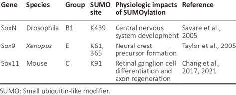 Sumoylated Sox Proteins That Influence Neural Physiology Download