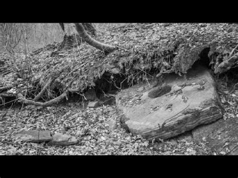 Странный камень в глухом лесу - YouTube