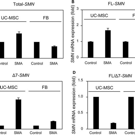 Survival Motor Neuron Smn Protein Expression In Umbilical Download Scientific Diagram