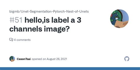 Hello Is Label A Channels Image Issue Bigmb Unet Segmentation Pytorch Nest Of Unets