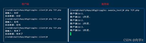 Php Swoole4 Win和mac版安装和简单的使用（入门胎教篇，涉及宝塔安装和编译安装两种方式）向宇it的博客 Csdn博客宝塔安装