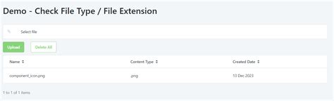 File Type File Extension Overview O11 Outsystems