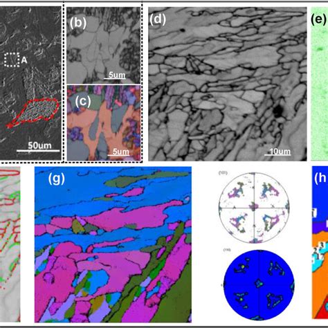 E Microstructure Of W800 Sample A Sem Micrograph Bec Iq Map And