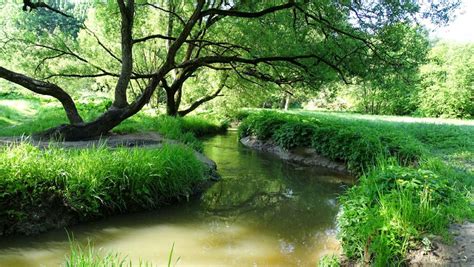 В городском парке В городском парке Фотография на