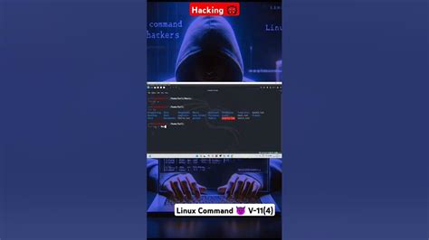 Linux Basics For Hackers Tutorial V 114 For Beginners Learn