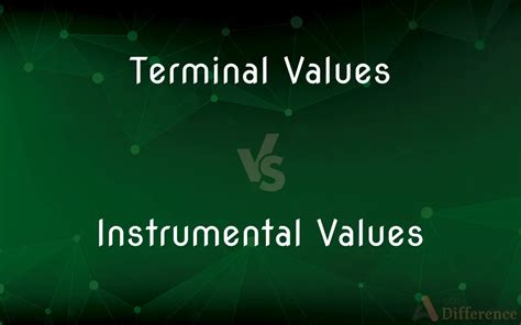 Terminal Values Vs Instrumental Values Whats The Difference
