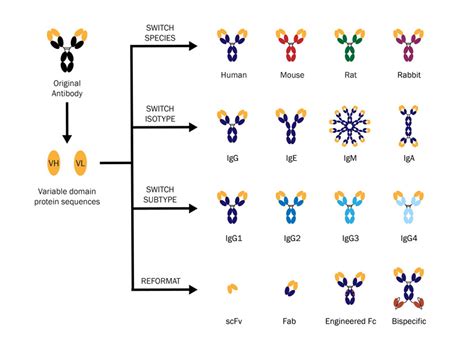 Invitrogen™ Qubit™ 1x Dsdna Br Assay Kit Reviews