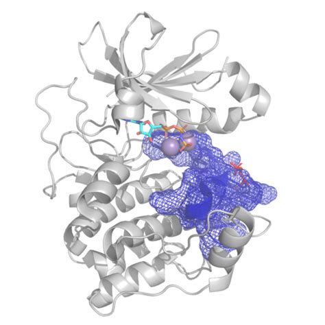 Leonard Max Perutz Labs