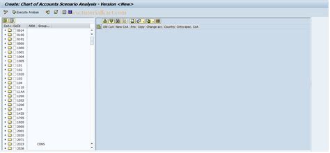 CNVA COA ANALYSIS SAP Tcode Chart Of Accounts Pre Analysis