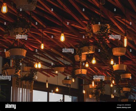 Wooden Decorative Ceiling With Glowing Bulbs And Hanging Planters With