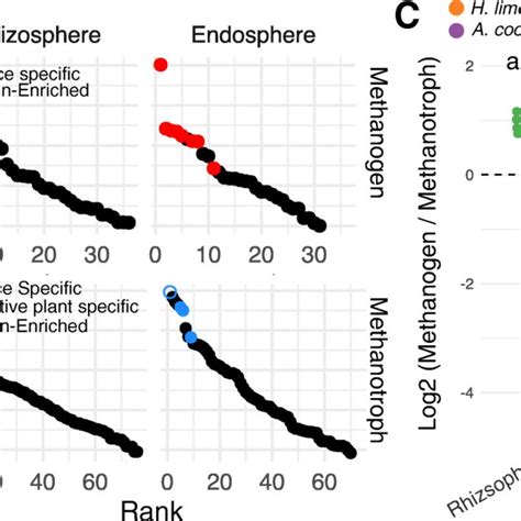 Contrasting Enrichment Of Methanogenic Archaea And Methanotrophic