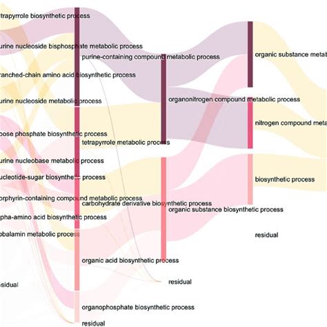Interpretation Of Go Informed Neural Network In Inflammatory Bowel