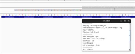 Inconsistent Output From Splitncigarreads Gatk