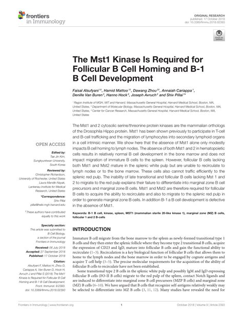 Pdf The Mst1 Kinase Is Required For Follicular B Cell Homing And B 1