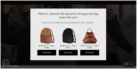 A 3 Step Guide To Ecommerce Conversion Optimization Following Bukvybags Example Optimonk Blog