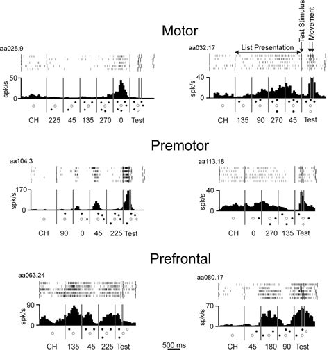 Encoding Of Serial Order In Working Memory Neuronal Activity In Motor Premotor And Prefrontal