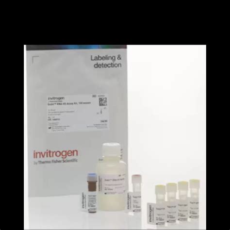 Qubit™ Rna High Sensitivity Hs Assay Kit Kits De Ensayo De Arn De Alta Sensibilidad Hs
