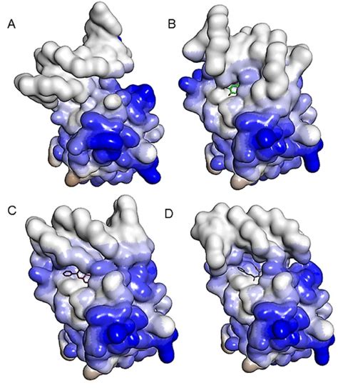 Binding Mode Of Each Of The Ligand Molecule In The Molecular Binding Download Scientific
