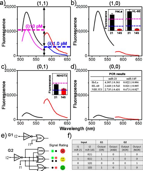 Figure 3 From In Situ Amplification Of Intracellular Microrna With Mnazyme Nanodevices For