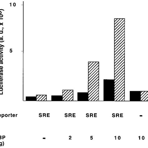 Cbp Stimulates Sre Activity Reporter Constructs 1 G Containing The