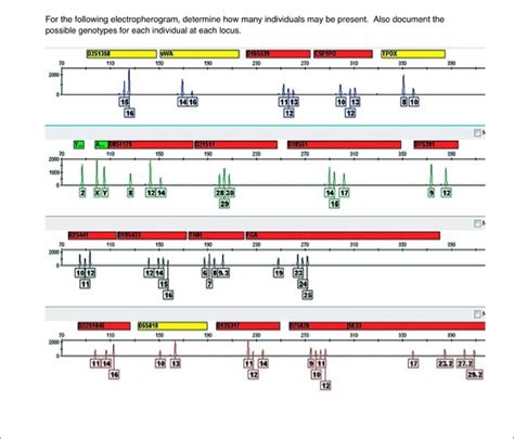 For The Following Electropherogram Determine How